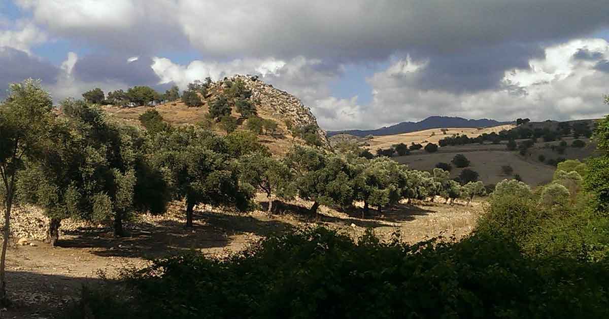 Roundabout walk to Sarama village - Pals Magazine Cyprus